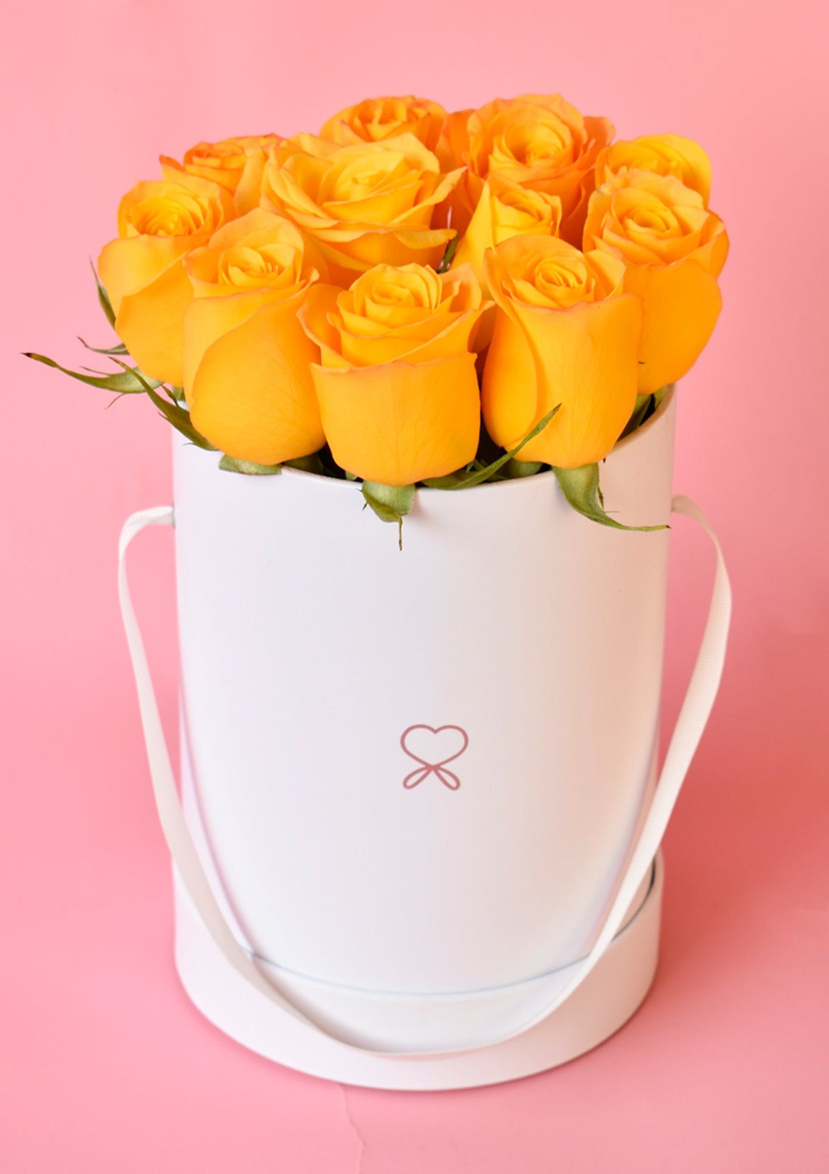 DESCUENTOS DEL MES – Florería Bloom